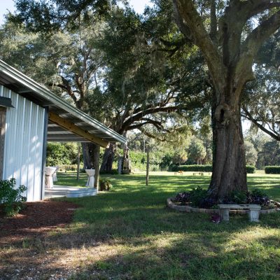 Ranch Tour | Triple C Ranch